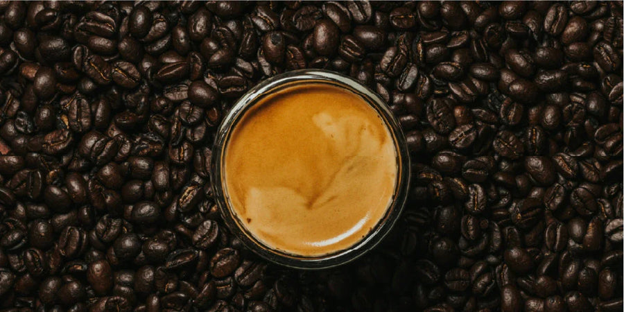 Does Coffee Go Bad? How to Tell If It’s Stale | Freshly Roasted Strava ...